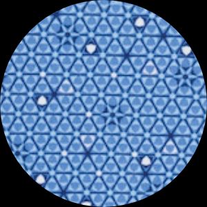 Find Your Perfect Polo | Peter Millar